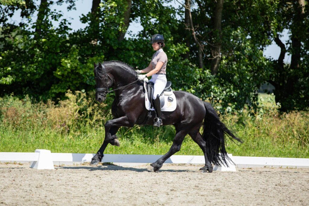 Kije and Hardy Shine in Harlingen! - Cayenne Stables